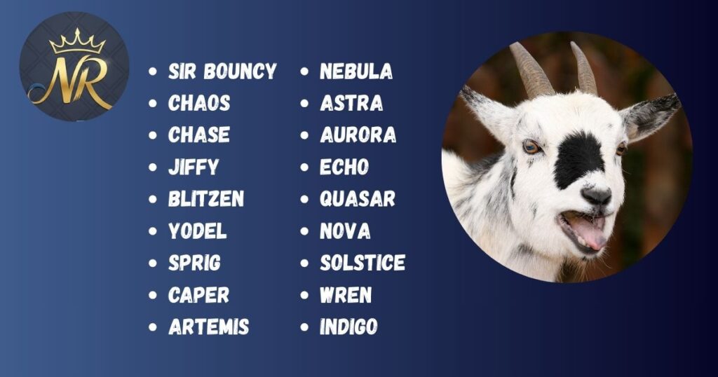 600+ Best Goat Names Ideas: Unique & Funny Names